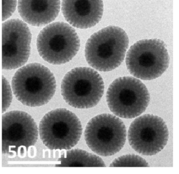 Fe3O4@SiO2@mSiAlOx - 上海复微生物科技有限公司